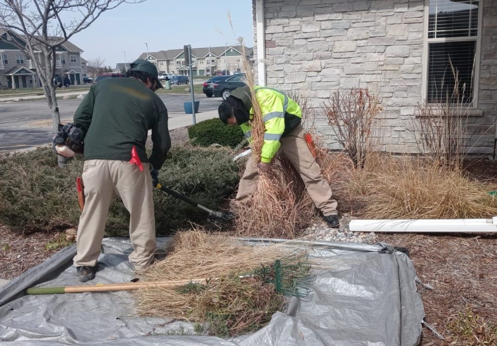 Home - CH Lawn Care & Snow Removal Inc